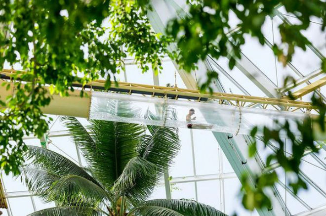 Monkey-Splash-Center-Parcs | Badelande i Tyskland